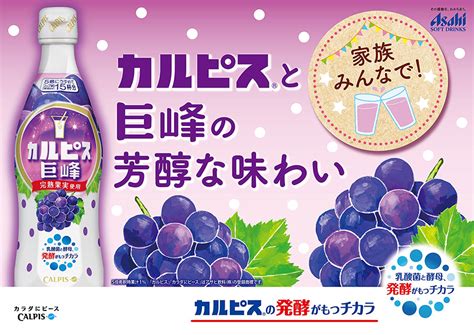 【楽天市場】カルピス N「希釈用」 N完熟巨峰 470ml：アクアライフサービス