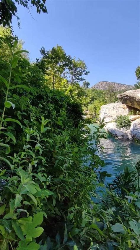 سروشتی جوان و دڵگیری دەڤەری نەهلێ لە ئاکرێ