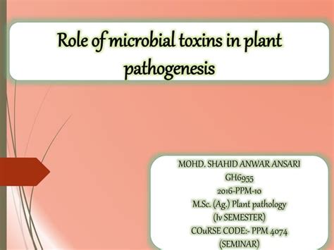 Role Of Microbial Toxins In Plant Pathogenesis Pptx