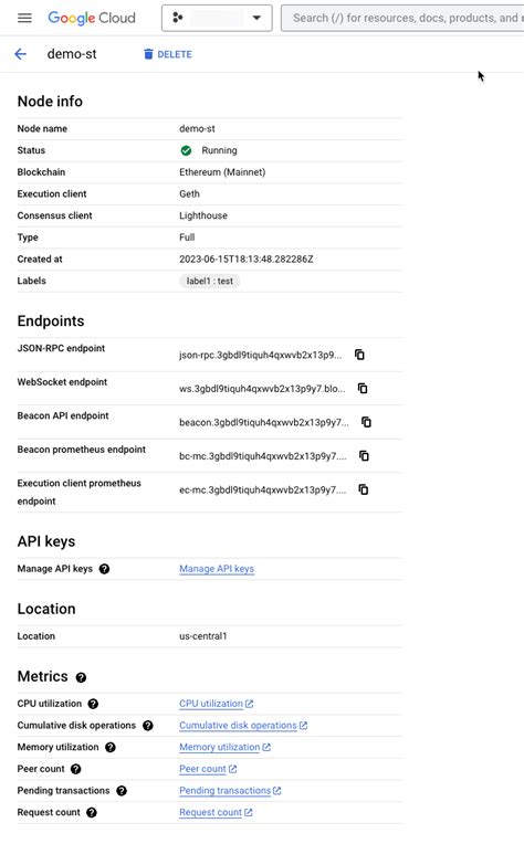 View Blockchain Node Details Blockchain Node Engine Google Cloud