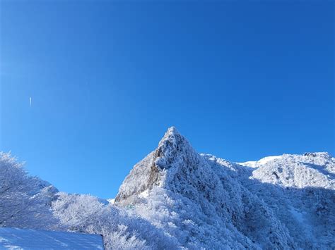 블라인드 여행·먹방 오늘자 한라산 설경