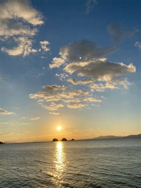 不知火海の夕景 かもめ 野坂屋旅館