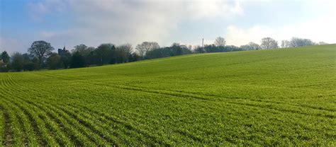News Lyminge Parish Council