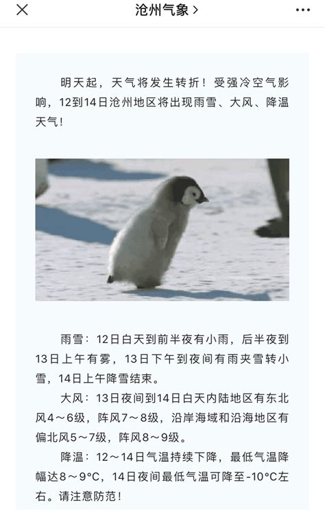 雨雪、大风来袭！这份雨雪天行车指南请收好天气交通水汽