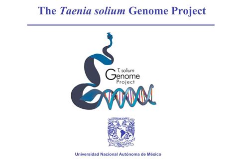 The Taenia Solium Genome Project Docslib
