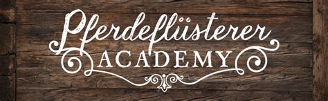 Pferdeflüsterer Academy Band 12 Wild und verwundbar Pferdebuch ab 10