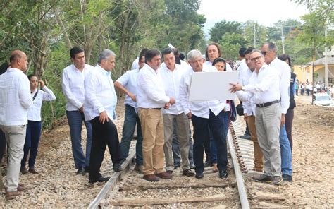 Asf Informó Que Tren Maya Ha Provocado Daños Ambientales Y Un Posible
