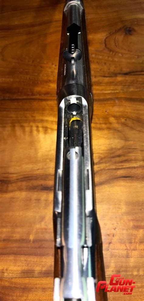 Gun Planet Rossi Puma 650 Palanquero