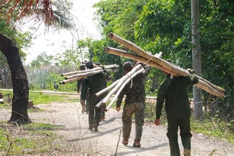 မြောက်ဦးမြို့နယ်၊ကျေးရွာ တချို့တွင် Mocha ဆိုင်ကလုန်း မုန်တိုင်းကြောင့် နီအိမ်များ ပျက်စီးခရပြီး