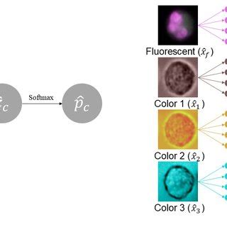 Baseline Fusion Methods For Our Multimodal Dataset A Early Fusion