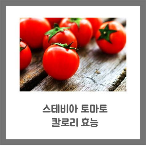 스테비아 방울토마토 효능 부작용 칼로리 다이어트 당뇨 네이버 블로그