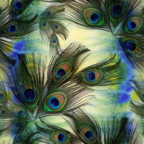 Feathers Collage Stock Illustrations 1366 Feathers Collage Stock