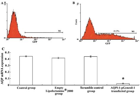 Positive Transfection Rate Detected By Flow Cytometry A Transfected