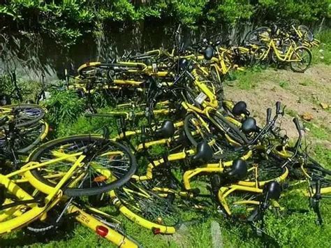 詬病百出，共享汽車別再走共享單車之路！ 每日頭條