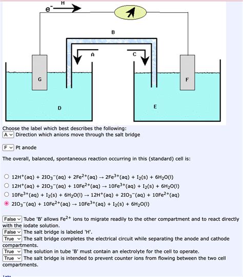 Solved Please Help I Dont Know Whats Wrong Chegg