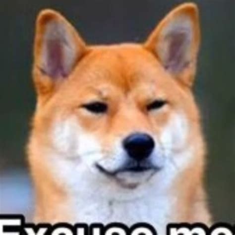 junjie wang doctor of engineering tsinghua university beijing th research profile