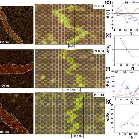 Experimental Demonstration And Analysis Of Dna Lattices Containing 1d