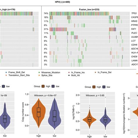 Comparative Analysis Of The Mutational Landscape And Genomic Patterns Download Scientific