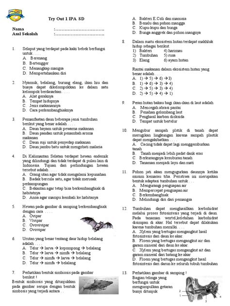 Soal Try Out Ipa Kelas 6 Pdf Ilmu Sosial Sains And Matematika