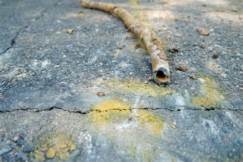 Florida Has Most Lead Pipes In Us Epa Survey Finds The Independent