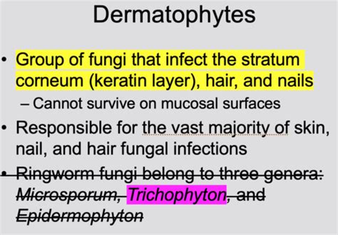 Fungal And Yeast Infx Of Skin Flashcards Quizlet