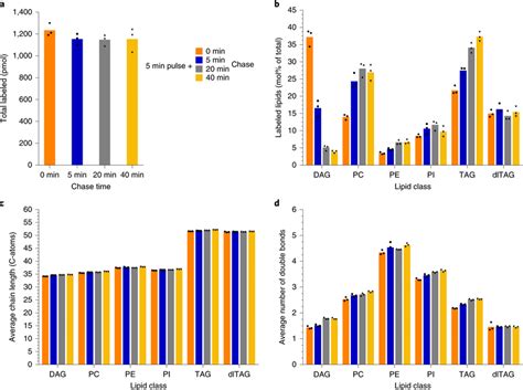 Lipid Class Level Analysis Of The Experiment Outlined In Fig