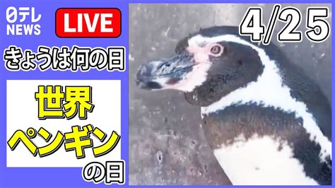 きょうは何の日世界ペンギンの日ペンギンそれ以上近づくな ジタバタ赤ちゃんペンギンと飼育員が攻防 など ニュースまとめライブ