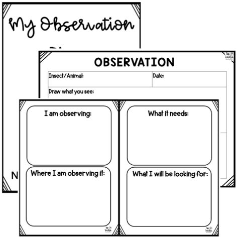 Scientific Observation Worksheet Technology And Observations Activity