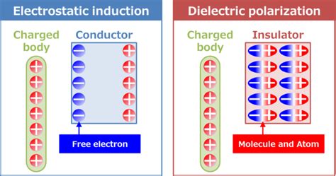 Difference Between Induction And Polarization Electrical Information