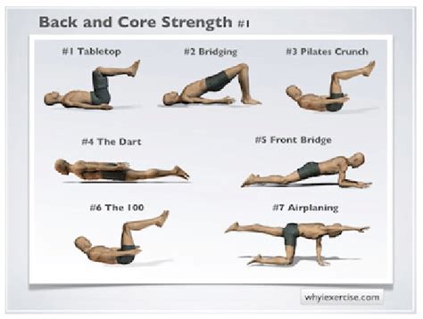 Exemplary Isometric Exercises Download Scientific Diagram