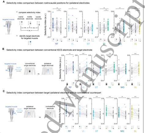 Selectivity Index Comparison Between Electrode Types And Positions A