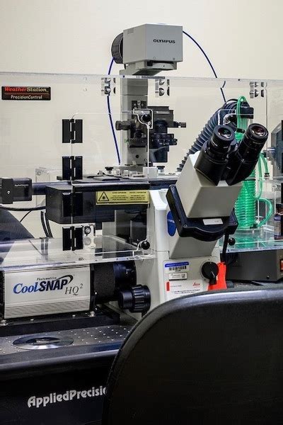 Services Notre Dame Integrated Imaging Facility University Of Notre Dame