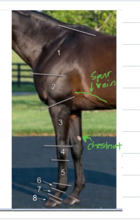Label Diagram Quizlet