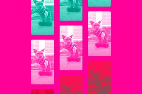 Pink Aesthetic Pink Cute Tik Tok Logo