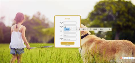 Springboot毕设 基于的流浪动物领养系统的设计与实现 程序论文 Csdn博客
