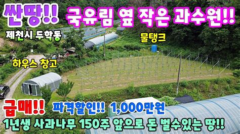 650 싼땅 사과과수원 하우스창고 등 시내에서 농막놓고 농사짓기 좋은 저렴한 땅 귀농귀촌 추천토지 제천시 두학동토지 제천