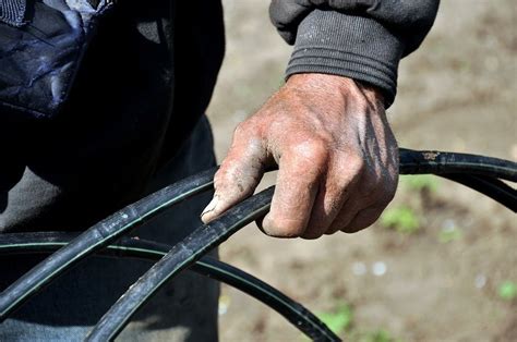 Cleaning And Maintaining Your Drip Irrigation System Daves Garden