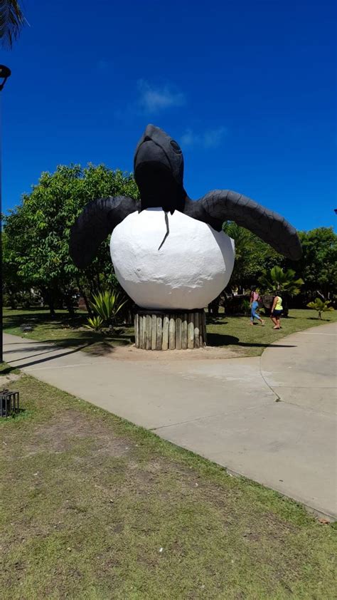 Projeto tamar aracaju em 2024 Praias de aracaju Tatuagem botânico