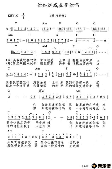 《你知道我在等你吗》最新曲谱 钢琴谱吉他谱 新乐谱