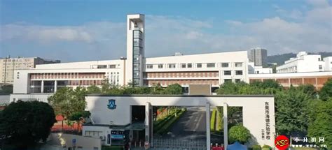 东莞市松山湖北区学校收费标准 学费 及学校简介 小升初网