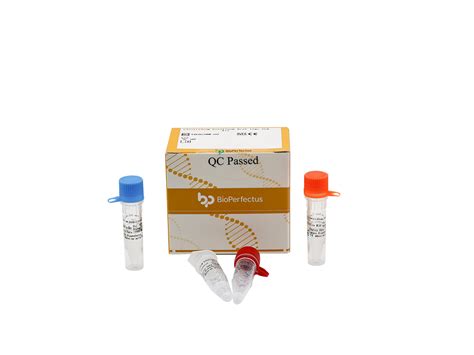 Bioperfectus Clostridium Botulinum Real Time Pcr Kit