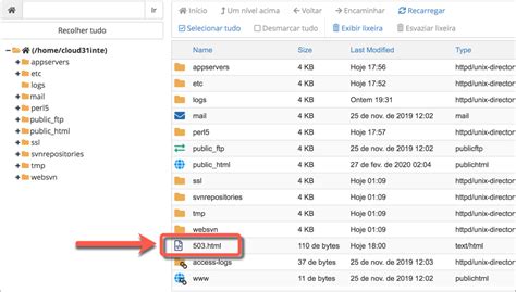 Personalizando O Erro 503 Do Javanodejs Wiki Integrator Do Brasil