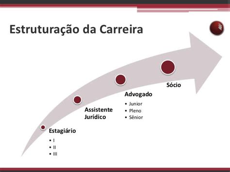 Júnior Pleno E Sênior Entenda A Diferença Entre Os Níveis Hierárquicos