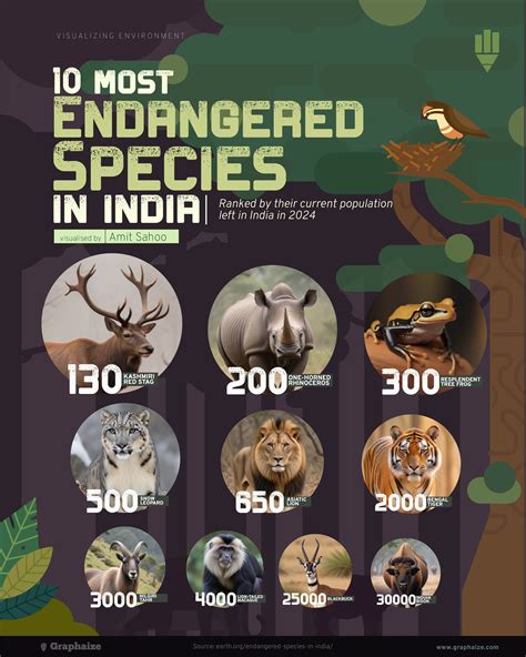 10 Most Endangered Species In India Endangered Species Project