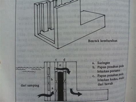 Cara Membuat Kolam Ikan Minimalis Untuk Pemula