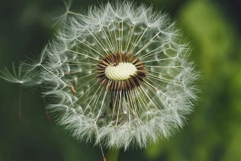 How To Apply Pmbok 7 To Llm Systems Development Lifecycle By Oleh