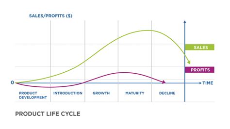 Amazon Product Lifecycle Stages And What That Means For You Extensiv