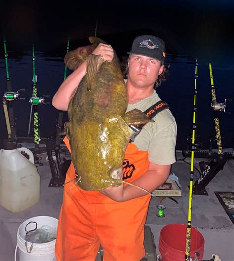 David O'Neal's 50-pound flathead - Carolina Sportsman