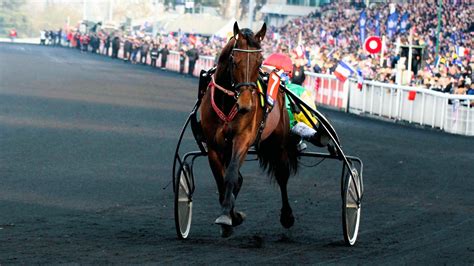 Pronostic Pmu Dimanche 14012024 4 Bases Pour Votre Quinté