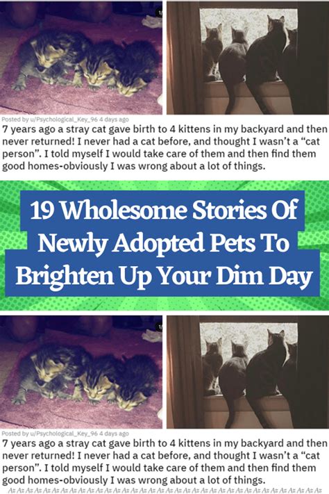 19 Wholesome Stories Of Newly Adopted Pets To Brighten Up Your Dim Day